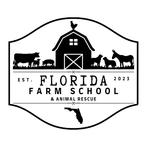 Highland Hugs, Bonfire & Smore's Family Night | Florida Farm School