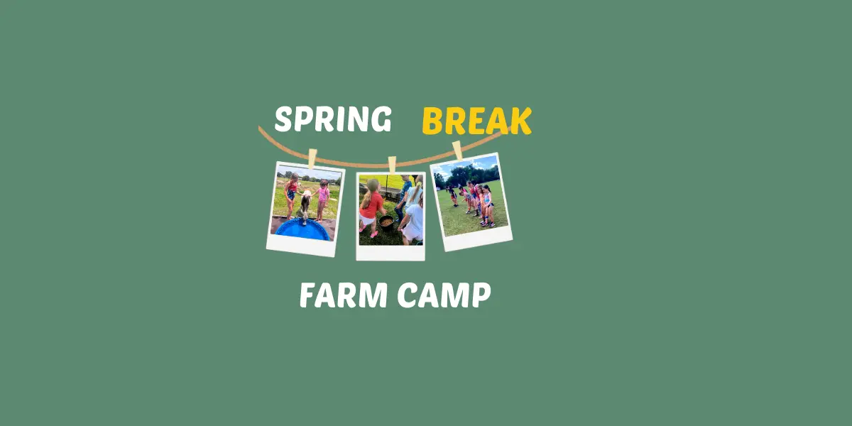Spring Break Farm Camp | Florida Farm School