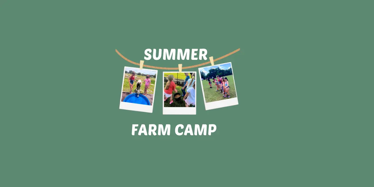 Summer Farm Camp | Florida Farm School